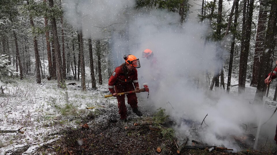 Risque de cancer élevé chez les pompiers forestiers