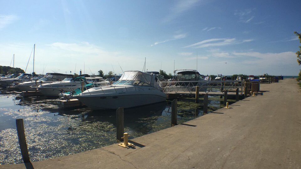 La marina de Colchester certifiée écoresponsable | Radio-Canada.ca