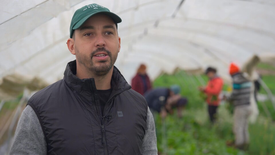 Rentable, le jardinage domestique? | Radio-Canada.ca