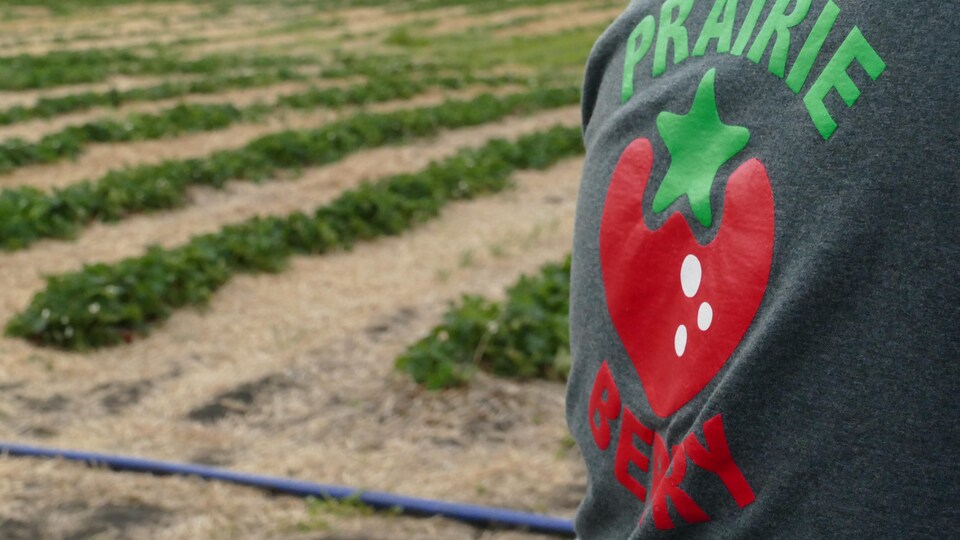 Le bonheur agricole, un hectare à la fois | Radio-Canada.ca