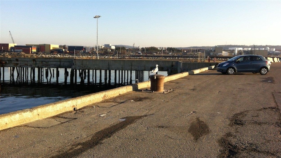 Québec veut acquérir cinq ports dans l'Est, dont ceux de Matane et Gaspé