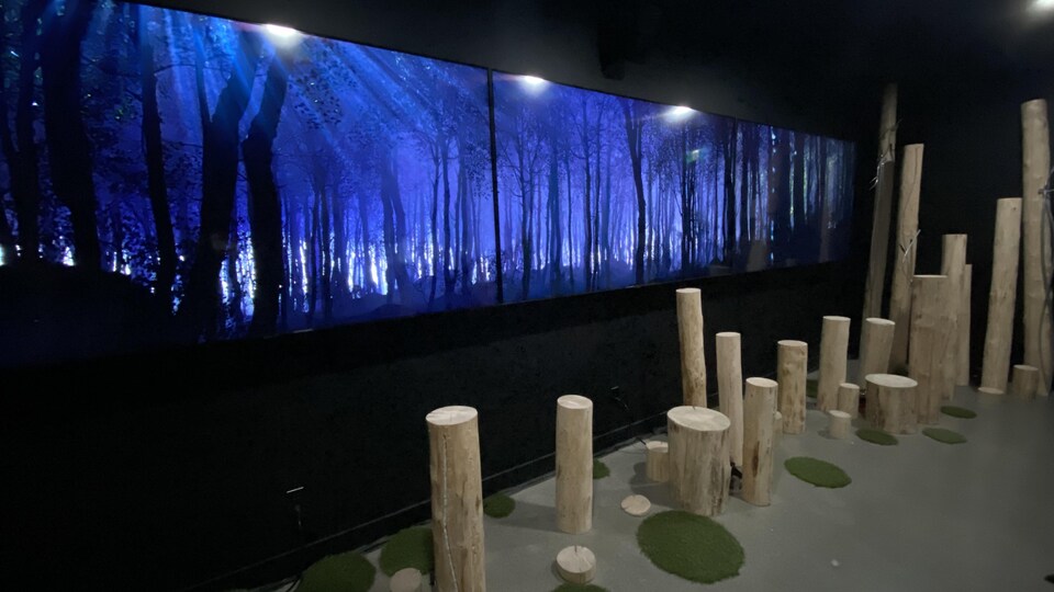 Du nouveau pour les visiteurs et le bien-être des animaux au Refuge ...