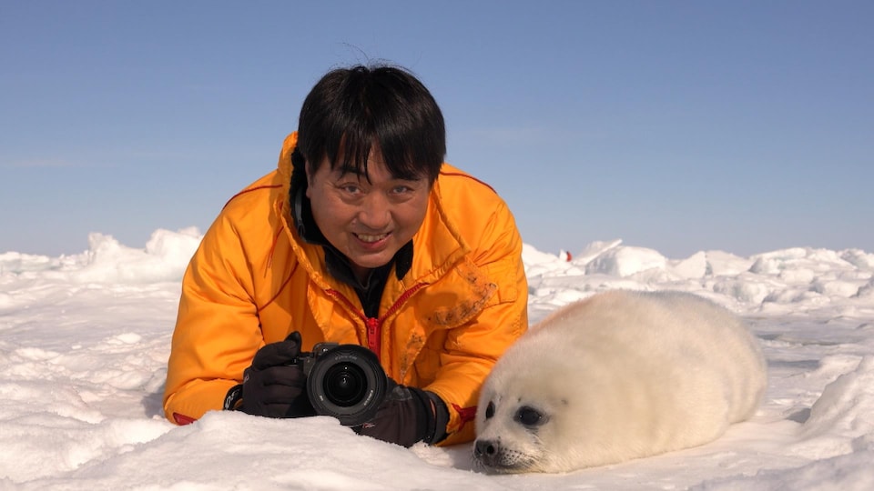 Rei Ohara, l'homme qui a popularisé l'observation des blanchons des ...