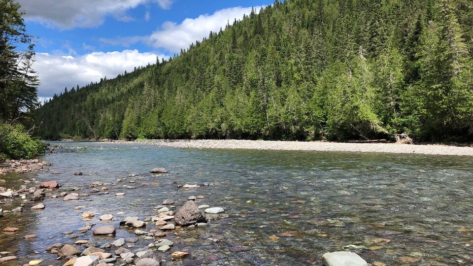 Une fondation pour préserver l'intégrité de la rivière Bonaventure