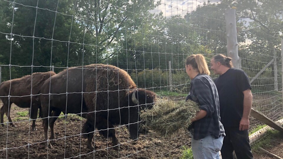Ruth Ellen Brosseau, la députée devenue agricultrice par amour | Radio ...