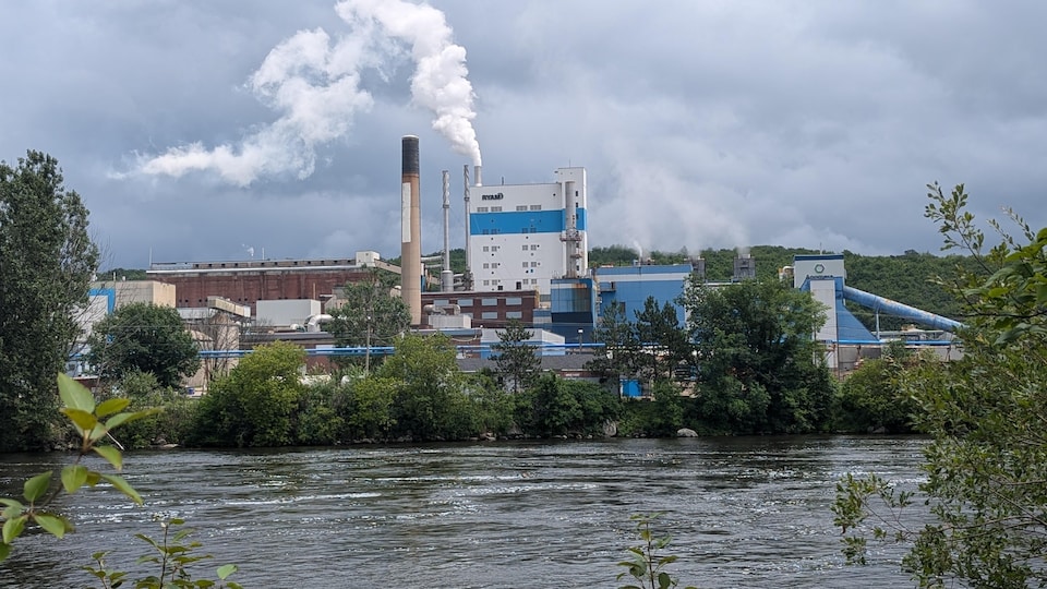 Unifor organise un barbecue de solidarité envers les travailleurs de ...