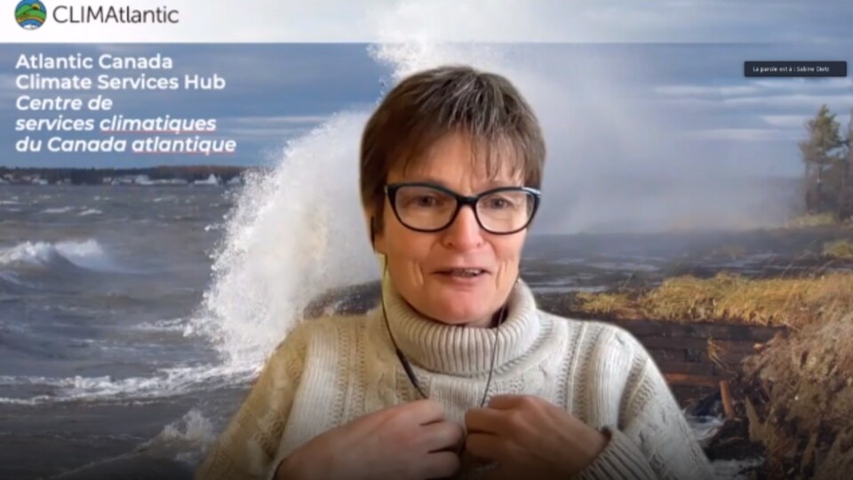 Une aide en ligne pour mieux naviguer les changements climatiques en Atlantique | Radio-Canada.ca