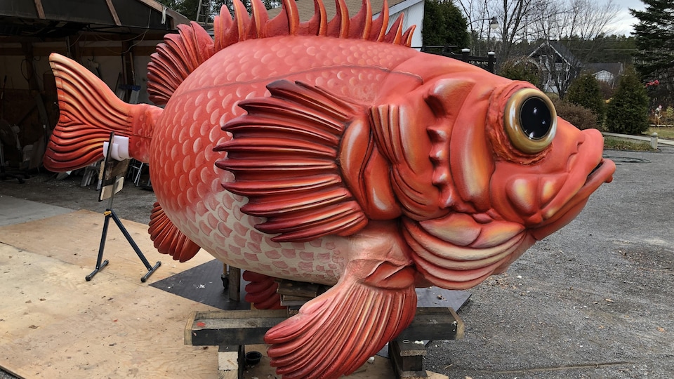 Un tout nouveau « plus gros sébaste au monde » à La Baie | Radio-Canada.ca