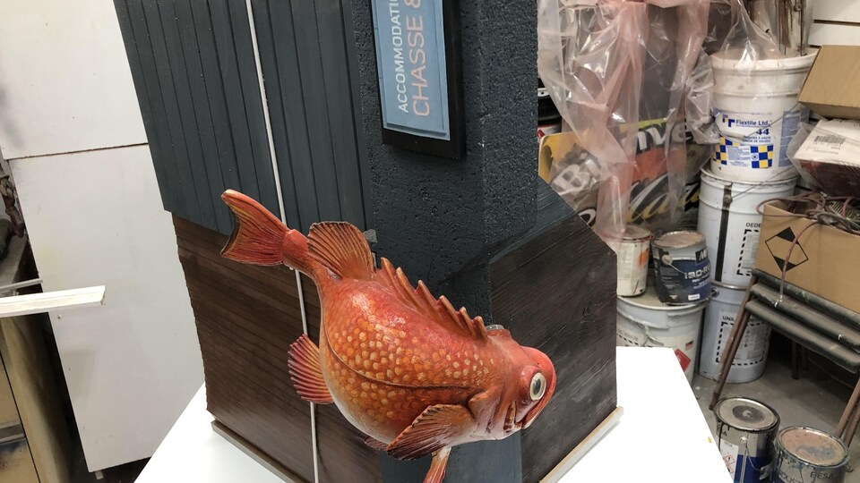 Un tout nouveau « plus gros sébaste au monde » à La Baie | Radio-Canada.ca