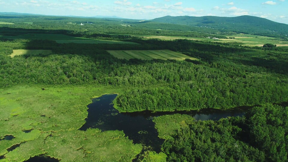 Protection des milieux humides