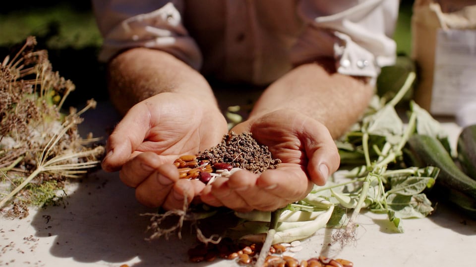 La production de semences locales, un savoir-faire crucial pour la ...