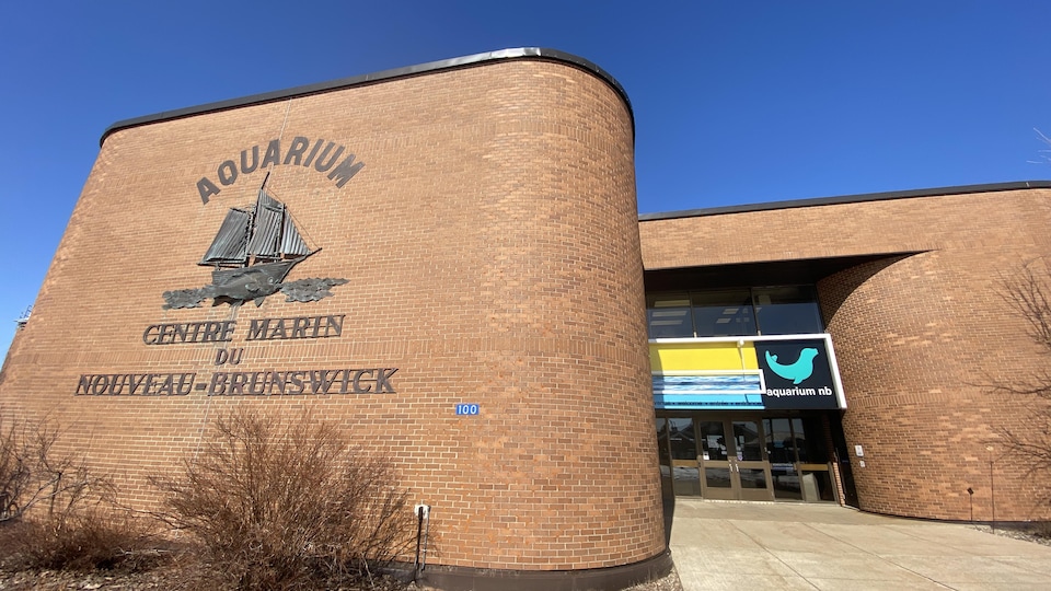 Shippagan, la plus jolie ville côtière du N.-B., selon un magazine web ...