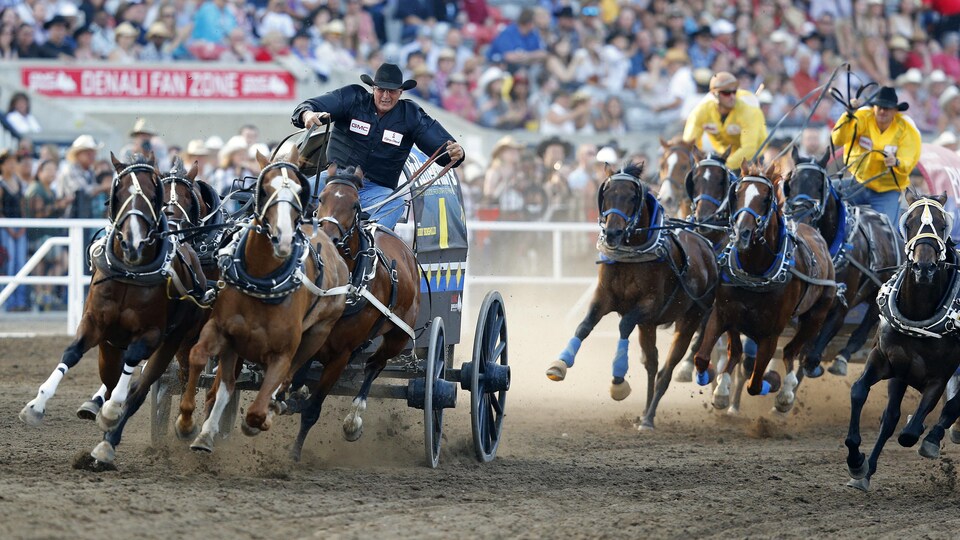 Des athlètes de rodéo québécois en vedette au Stampede de Calgary ...