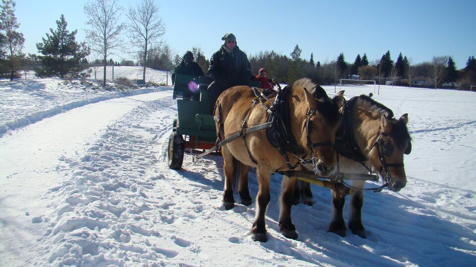 Le Carnaval d’hiver de Saskatoon est de retour en force | Radio-Canada.ca