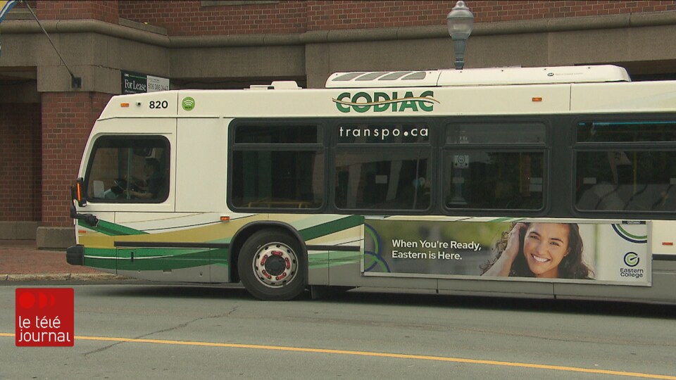 L’utilisation du transport en commun monte en flèche à Moncton | Radio ...