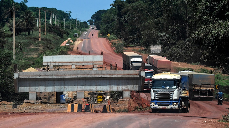 Sur la route à travers l'Amazonie, l'asphalte mange la forêt | Radio ...