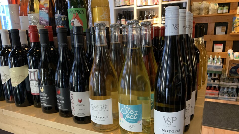 Les vignobles québécois en plein virage biologique | Radio-Canada.ca