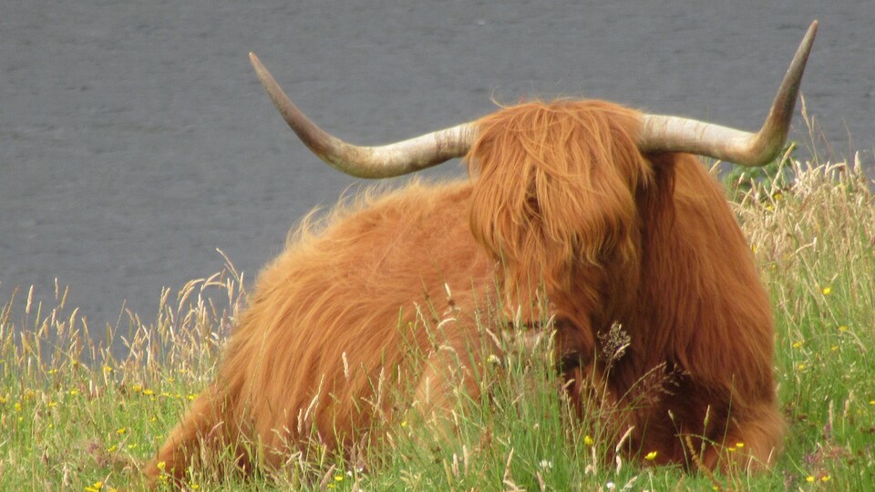 Se perdre dans les montagnes de l’Écosse