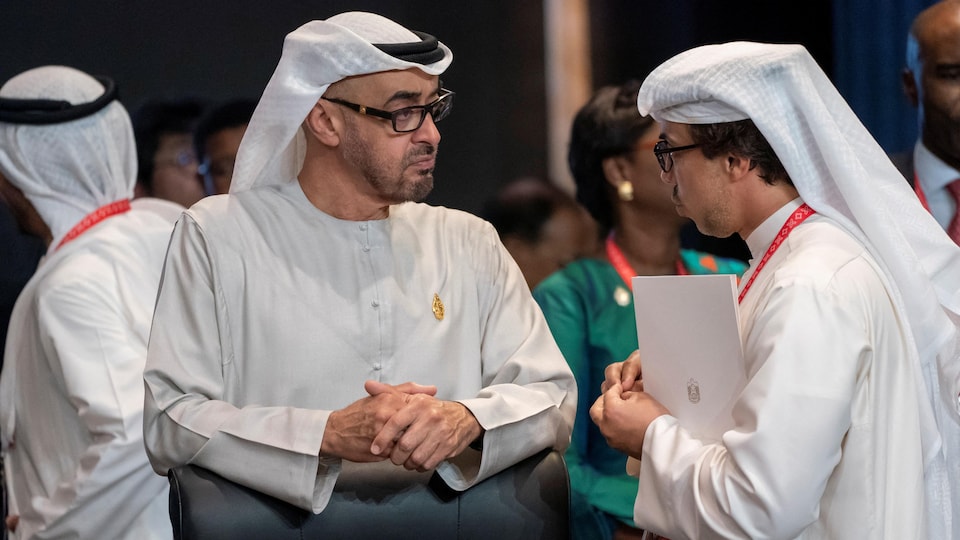 La Russie et l’Ukraine ont discuté ammoniac et échange de prisonniers aux Émirats | Guerre en ...