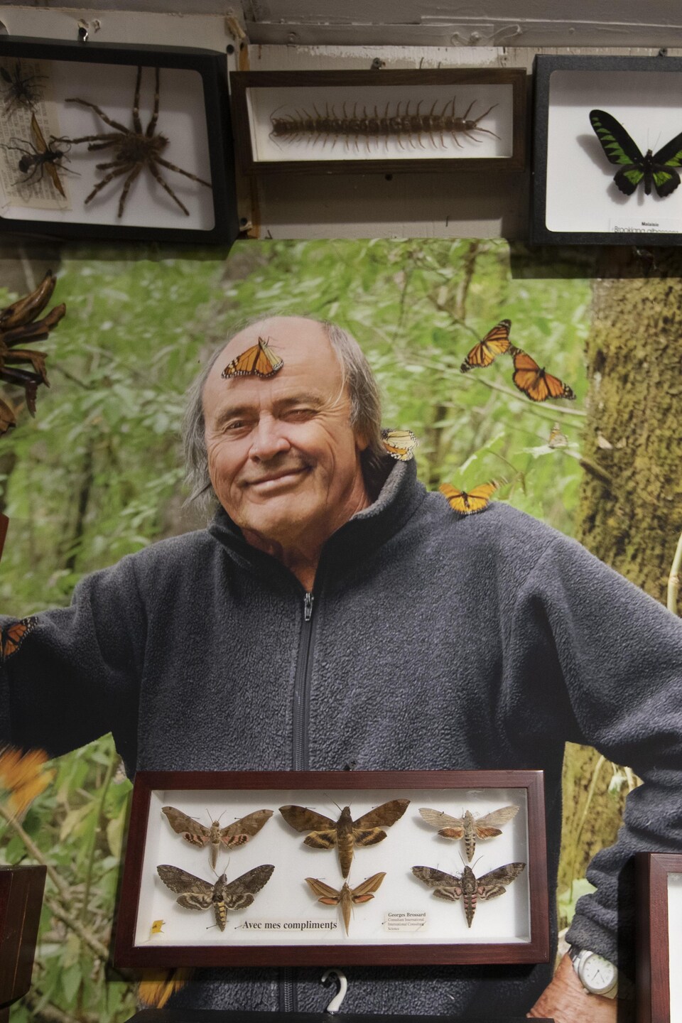 Georges Brossard, le « monarque des insectes », aura-t-il son musée ...