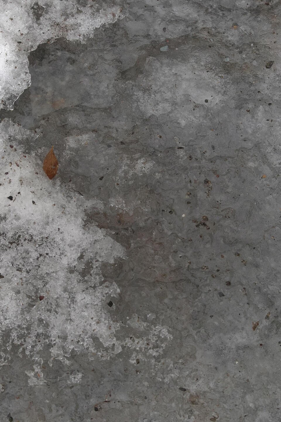De la neige à la gadoue, Québec et son carnaval s’attaquent au défi ...