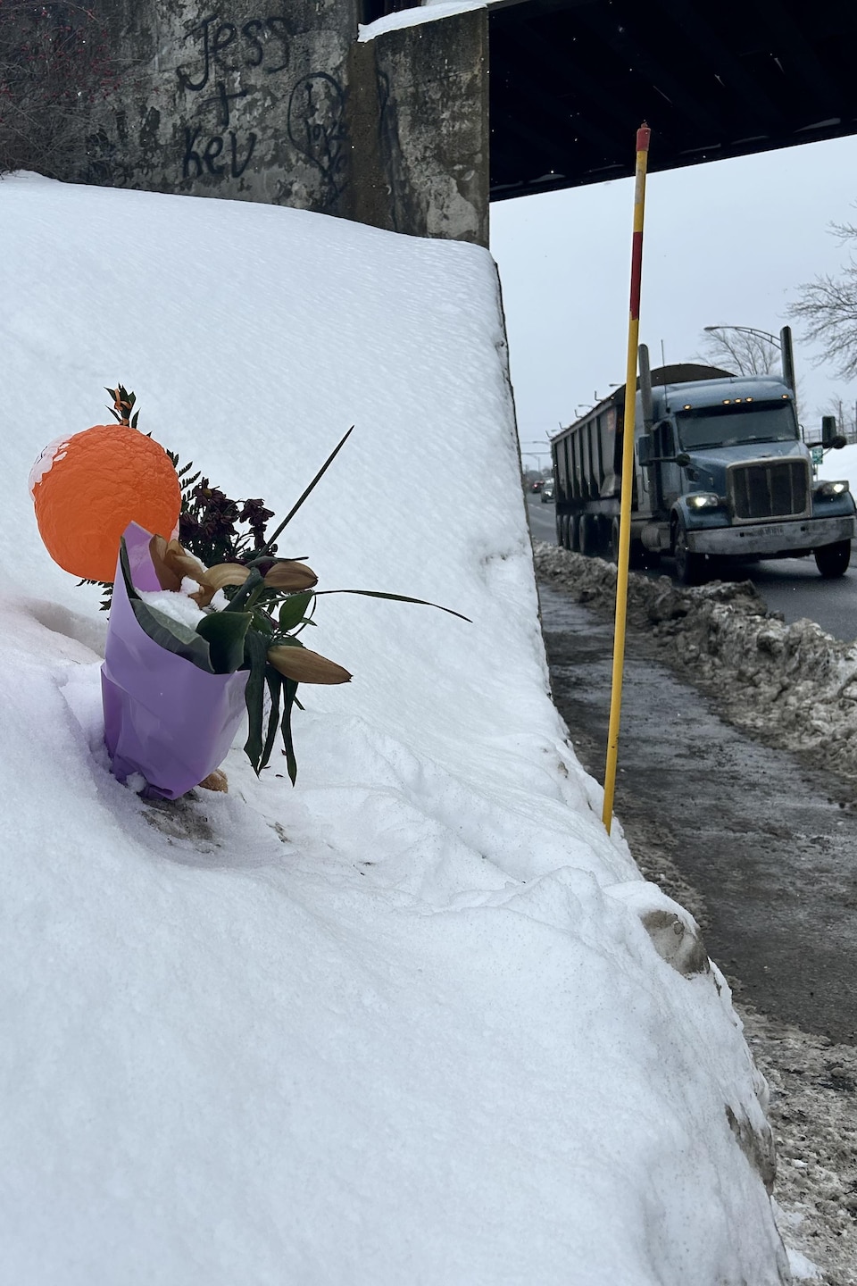 L’année 2025 en photos au Bas-Saint-Laurent | Radio-Canada.ca