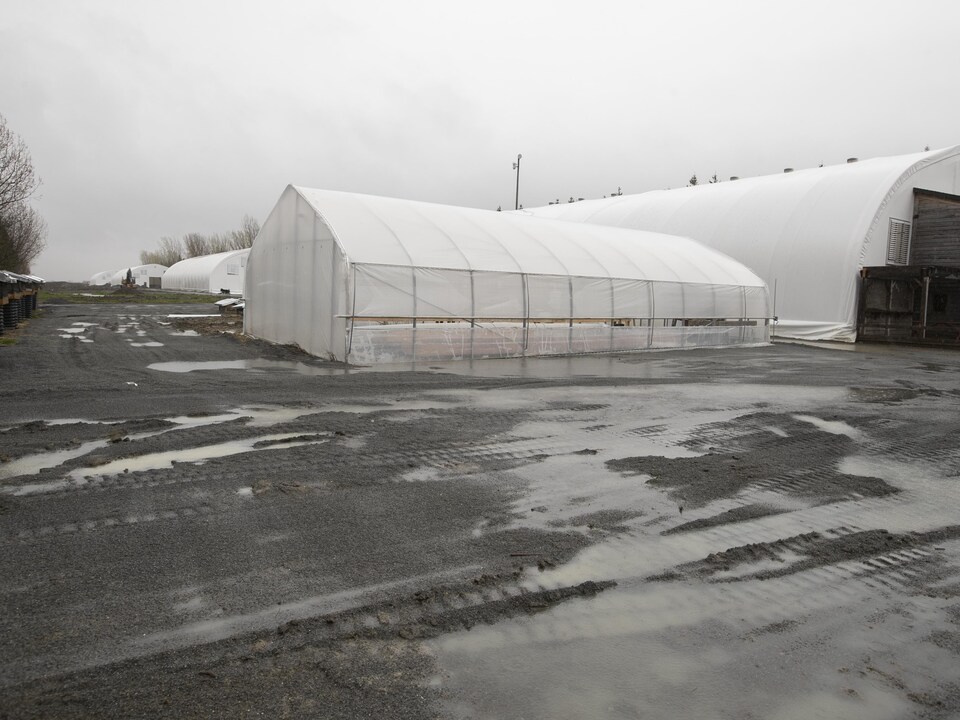 Benoit Laliberté refuse de démanteler ses installations de ...