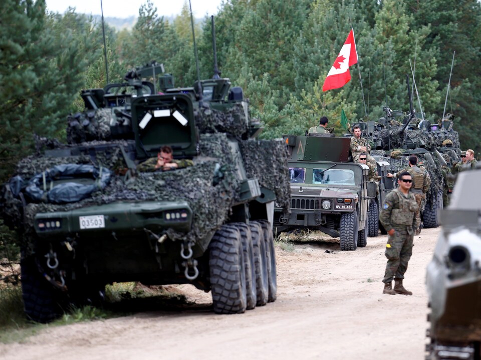 Un avion des Forces armées canadiennes fait demi-tour après un cas ...