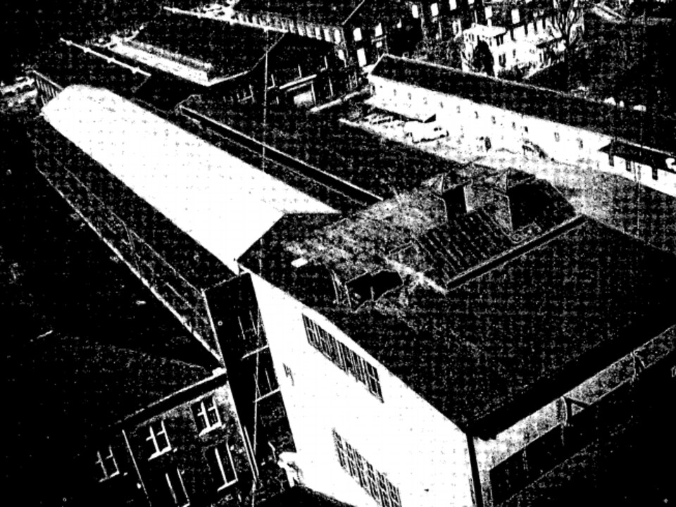 L'histoire secrète des pigeons espions et des dauphins poseurs de mines ...