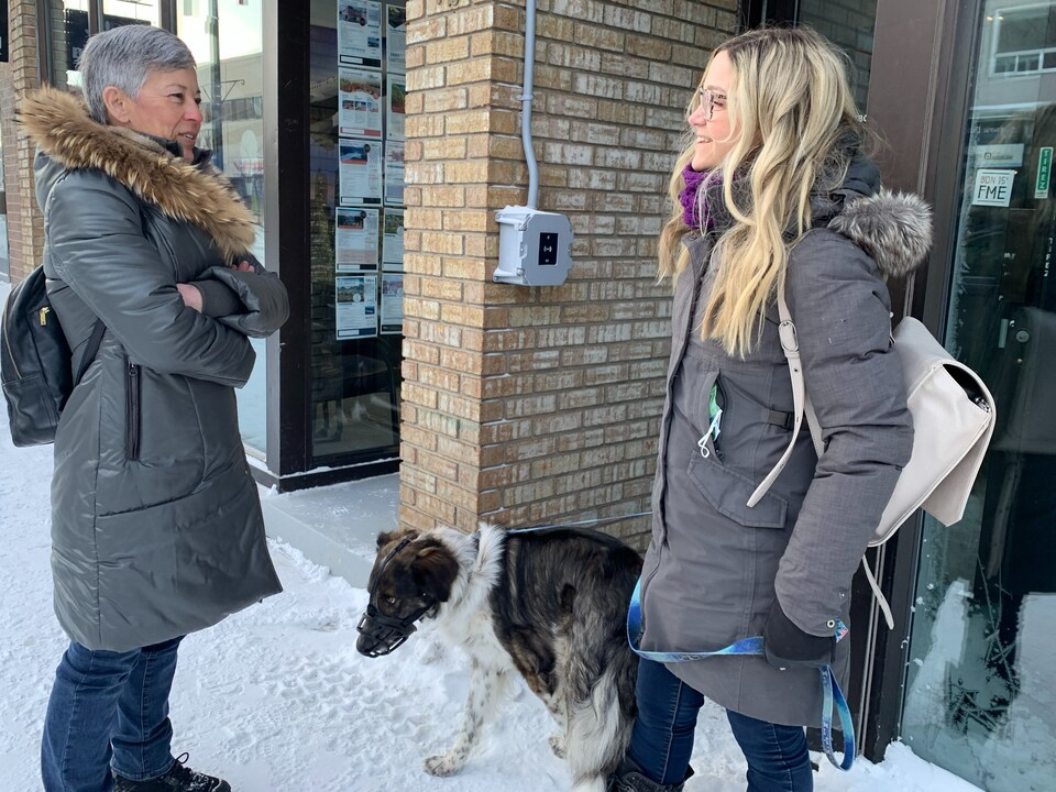 L’histoire d’Aïdi, le chien marocain installé à Rivière-Héva
