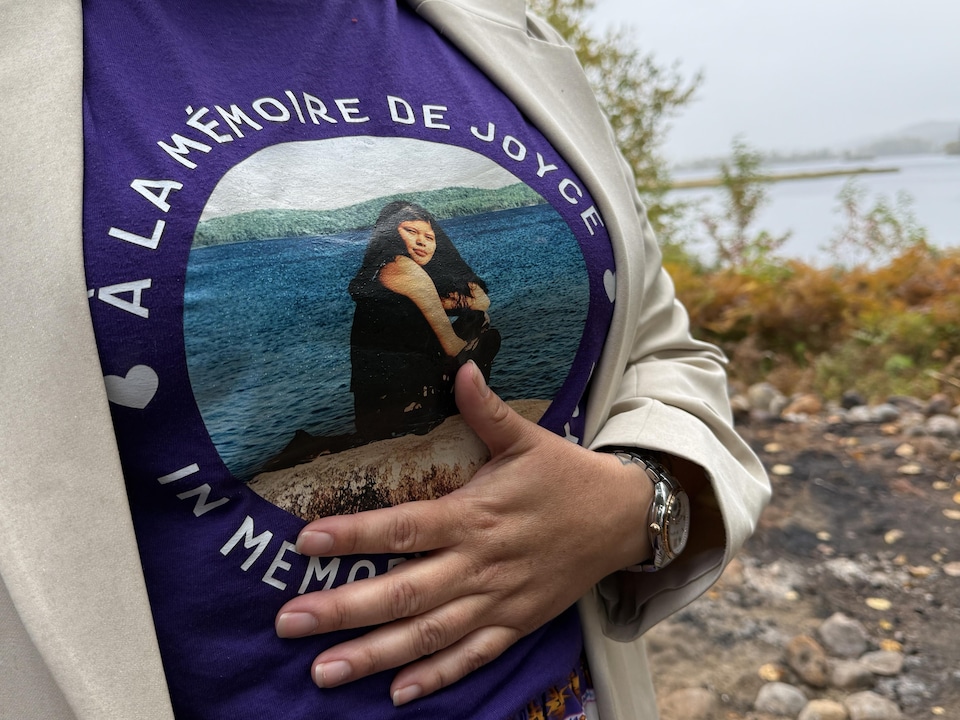 La nordicité du futur et la science | Radio-Canada.ca