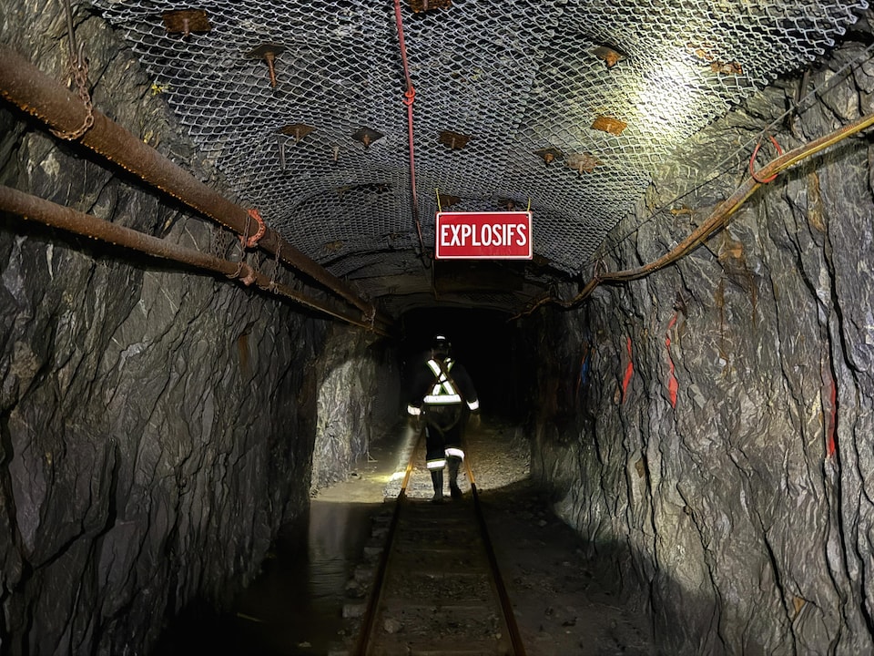 Voler pour inspirer : les Snowbirds en 2025 | Radio-Canada.ca