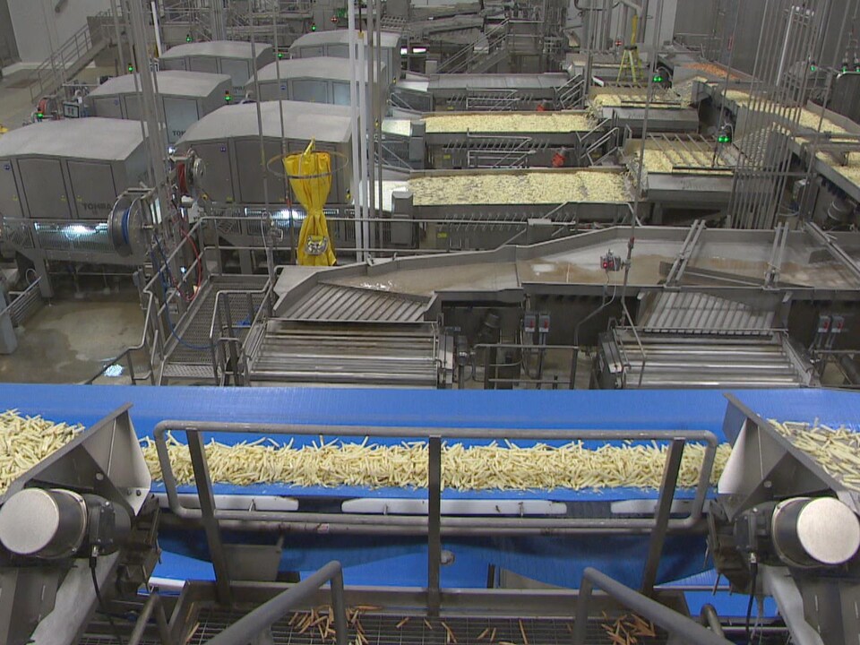 La pomme de terre à la conquête des Prairies | Radio-Canada.ca