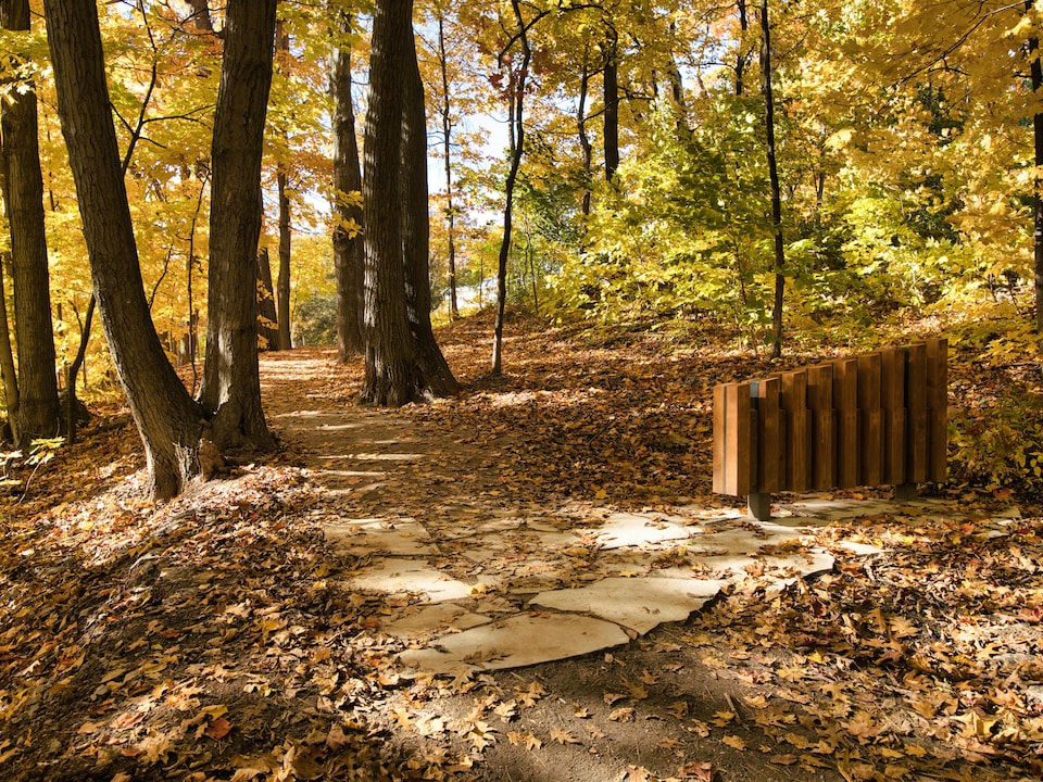 Le sentier des Grands-Domaines-de-Sillery accessible avant son ...