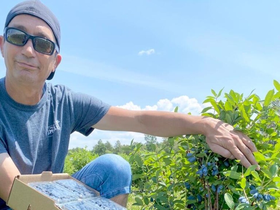 Faire connaître la camerise pour en développer le marché