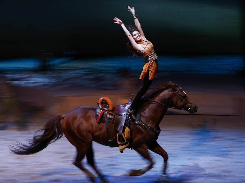 Cavalia s'installera au pied du pont Jacques-Cartier | ICI Radio-Canada.ca