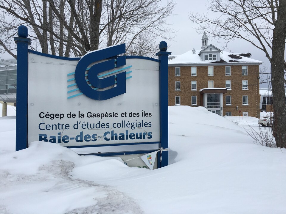Programme exclusif dans l'Est pour le Cégep de la Gaspésie et des Îles ...