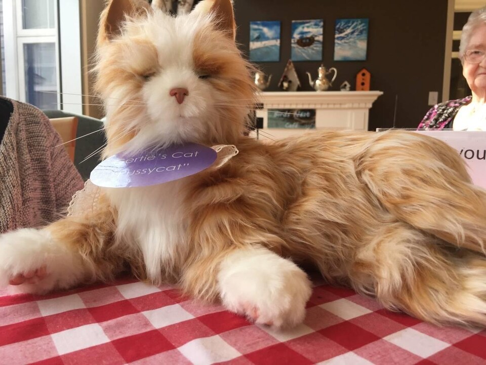 Des chats robots pour réconforter des aînés atteints de démence | Radio ...