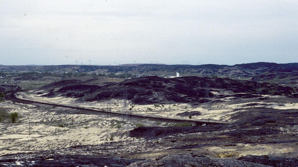 Les efforts de reverdissement du Grand Sudbury se poursuivent | Radio ...