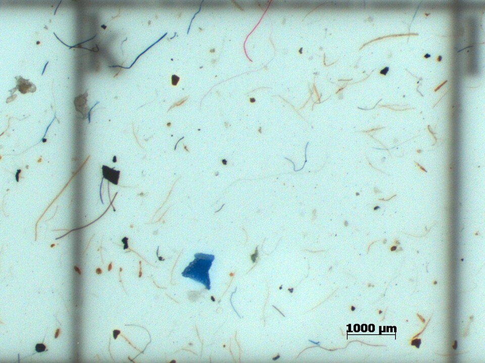 Des chercheurs s’attaquent au problème des microplastiques dans les ...