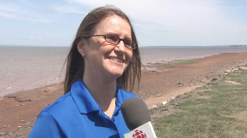 À Grand-Pré, un coup de pouce demandé pour le bécasseau semipalmé ...