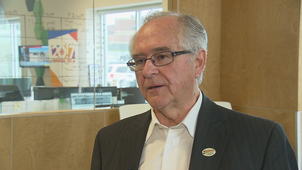 Orignaux sur la route 11 au N.-B. : plusieurs réclament des mesures de ...