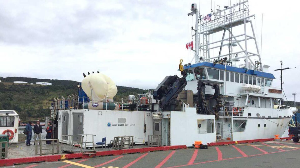 Des scientifiques veulent mettre le brouillard de Terre-Neuve en ...