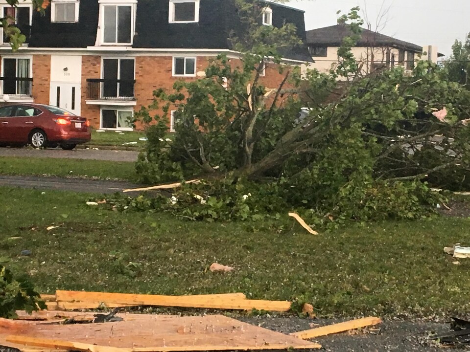 EN IMAGES - Une tornade cause d'importants dommages à Gatineau et à Ottawa | Radio-Canada.ca