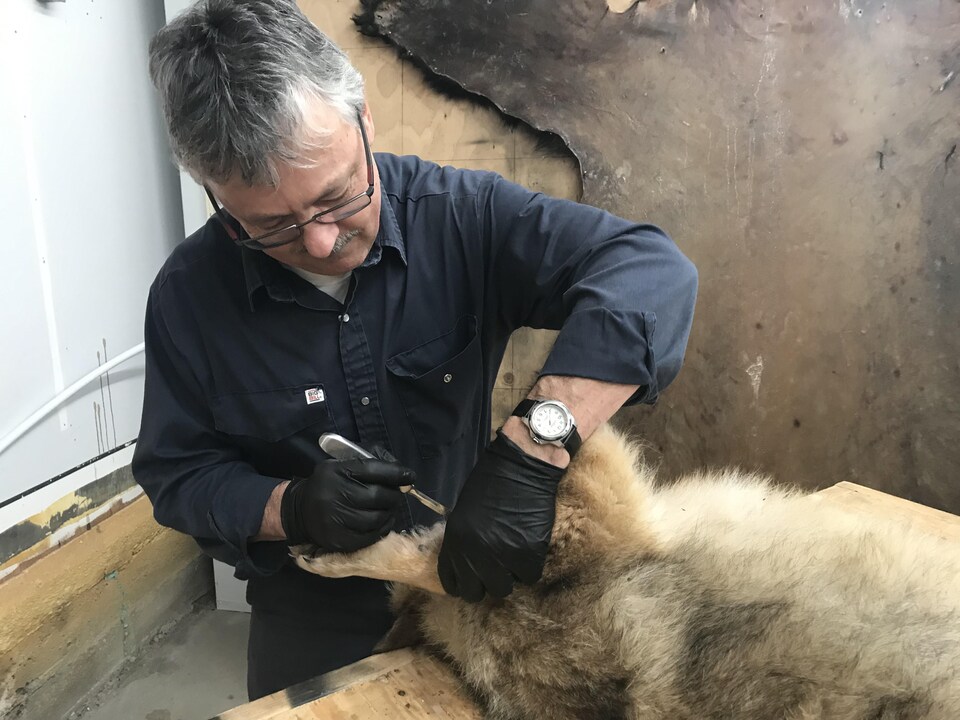 Des soirées pour apprendre les bases du dépiautage | Radio-Canada.ca