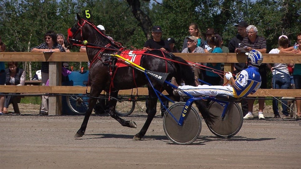 Courses de chevaux sous harnais