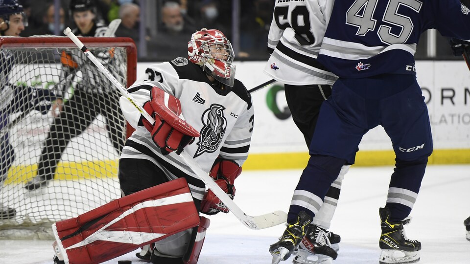 Ève Gascon et le sens des affaires du hockey junior majeur canadien ...
