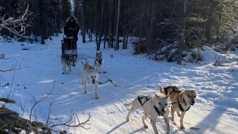 La famille Tweddell sur la ligne de départ de la Yukon Quest