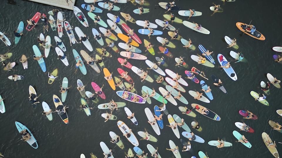 Les surfeurs de Montréal s’activent pour créer de nouvelles vagues ...