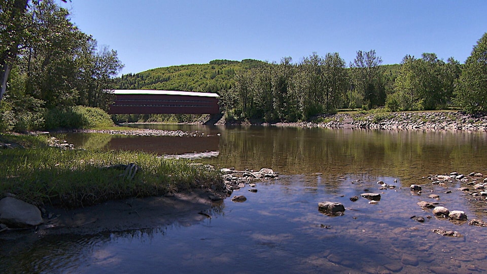 S'initier à la pêche au saumon sur la rivière Matane | Radio-Canada.ca